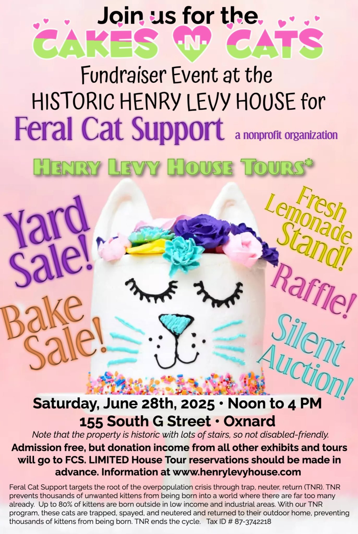 Cakes & Cats Fundraiser - The Henry Levy House